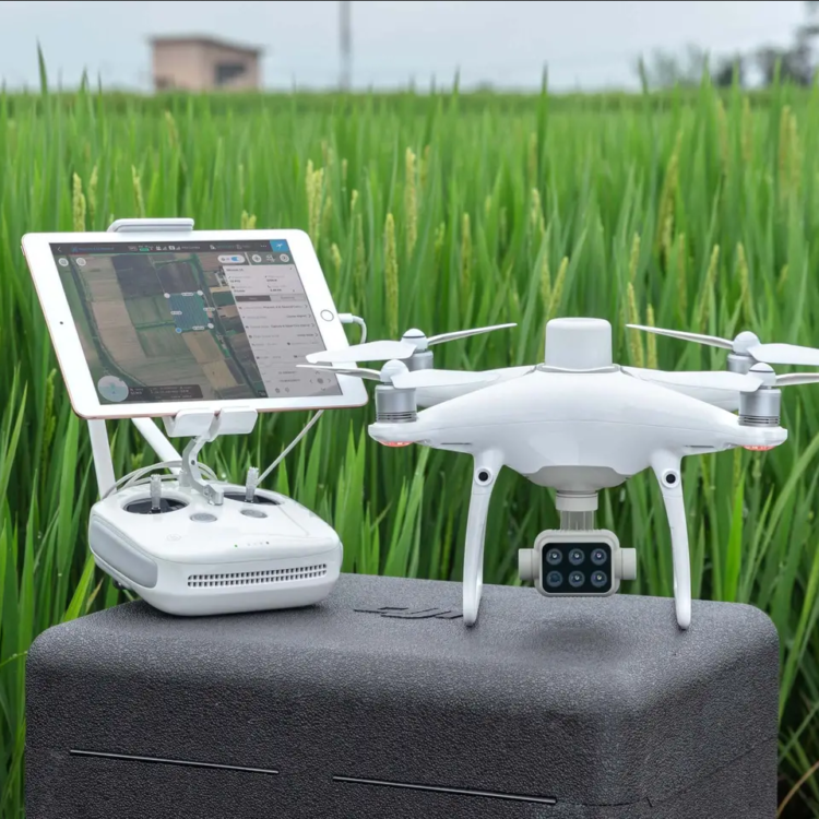 NDVI : la télédétection vecteur important de l'Agriculture de précision ...